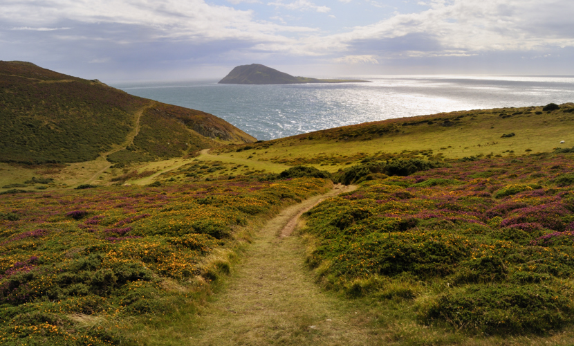 Our World | Pilgrimage